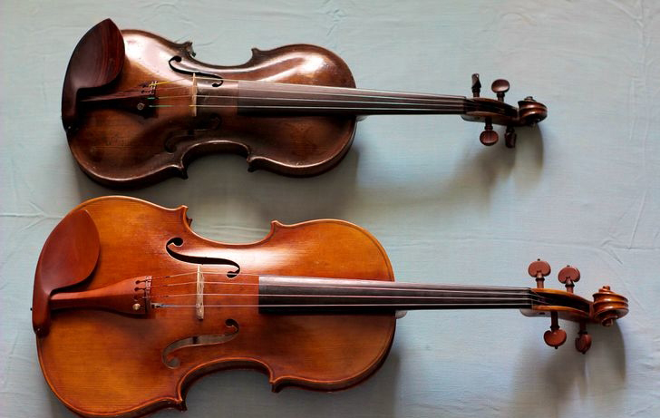 Instrumento musical Viola (25 fotos): ¿cómo suena tocar la Viola?? Cómo ...